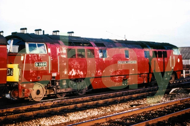 UK DIESEL TRAIN Railway Photograph Of Class 52 Western D1024. Rm52-81 £ ...