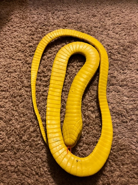 VTG LARGE YELLOW Brown Rubber Toy Snake Made In China 5' Long $4.14 ...
