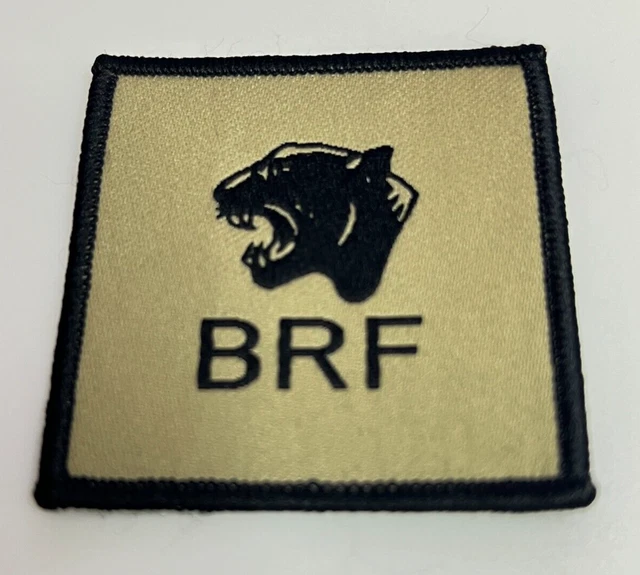 BRITISH ARMY 19TH light Brigade Reconnaissance Force Cloth Badge Patch ...