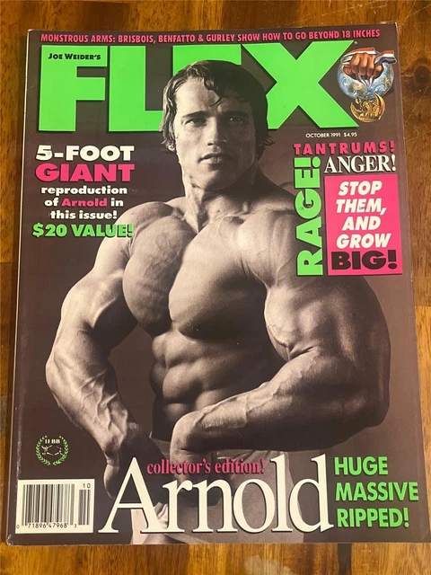 FLEX BODYBUILDING MUSCLE magazine ARNOLD SCHWARZENEGGER 10-91 £15.88 ...