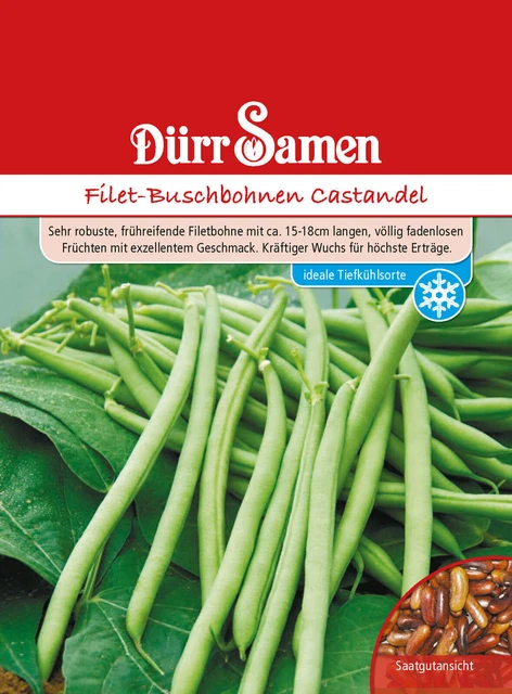 FILET-BUSCHBOHNEN CASTANDEL FILLET Seeds From Dürr Samen Ca 100 Grain £ ...