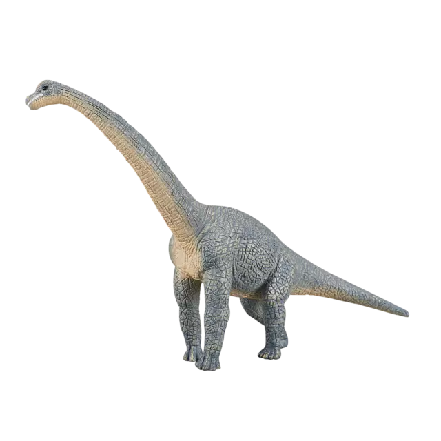 MOJO BRACHIOSAURUS DINOSAUR model figure toy Jurassic prehistoric ... MOJO BRACHIOSAURUS DINOSAUR model figure toy Jurassic prehistoric ...