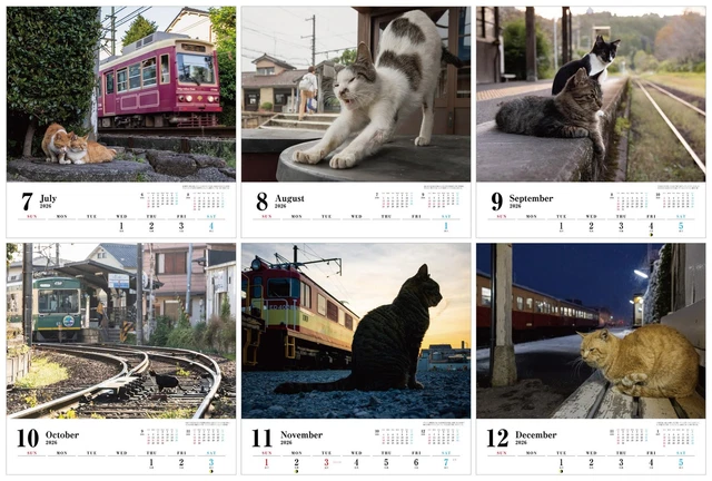 CATS AND TRAINS Wall Calendar 2026 Icarus Publishing 21.26x13.9in ...
