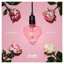 CHEEKY HEART DE City Kids Feel the Beat | CD | état très bon EUR 5,47 ...