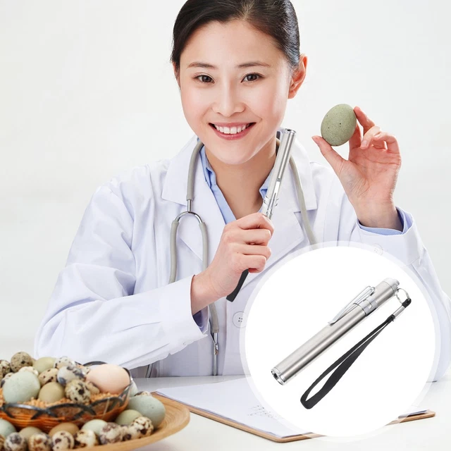 LED EGG CANDLER Incubation Special Egg Candling Lamp Egg Tester (Silver ...