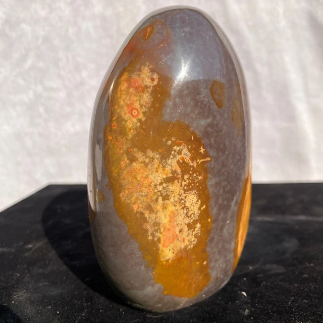 790G NATURAL POLYCHROME Ocean Landscape Jasper Stone Mineral Display ...