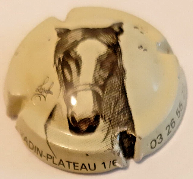 CAPSULE DE CHAMPAGNE Vadin-Plateau N°1 EUR 2,50 - PicClick FR