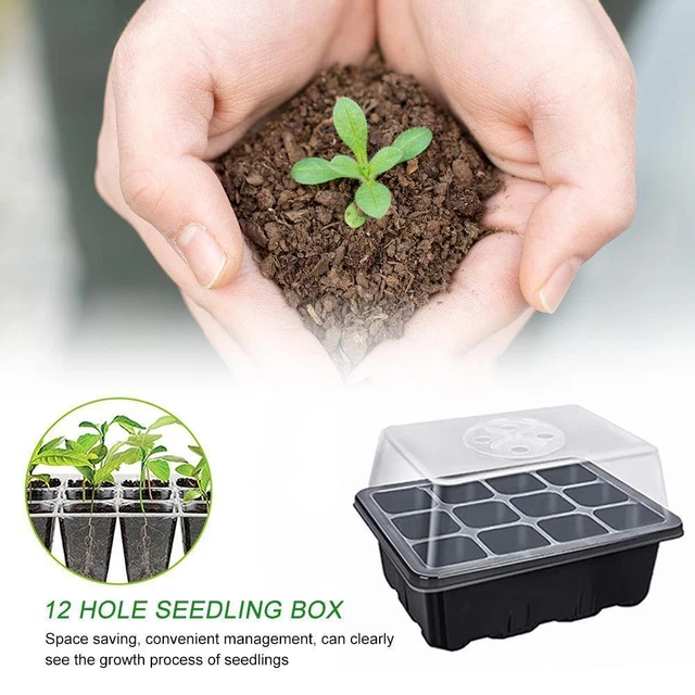 PLANTING SEED STARTER Tray Kit Plant Germination Box with Dome and Base ...