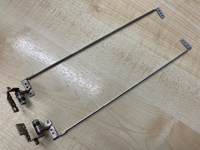 CLEVO PC SPECIALIST W670SJ W670SR W670SZ W670SF Gauche & Droite Gonds ...