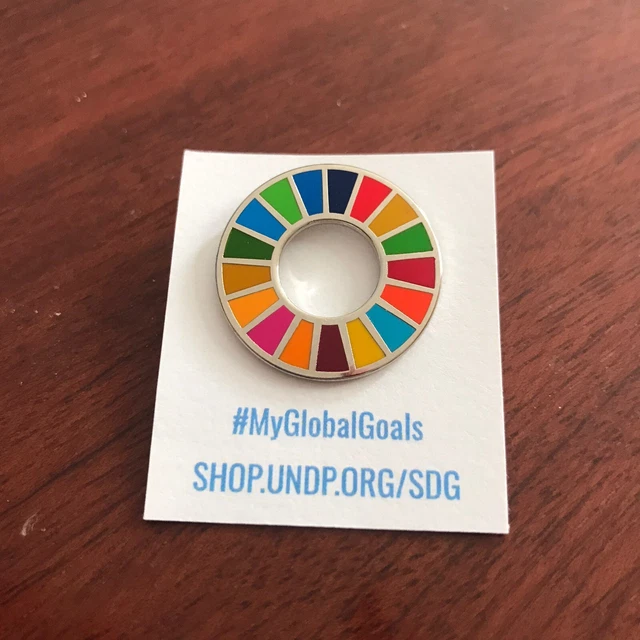 2030 AGENDA (SDG from UNDP) SDG Pin £3.16 - PicClick UK