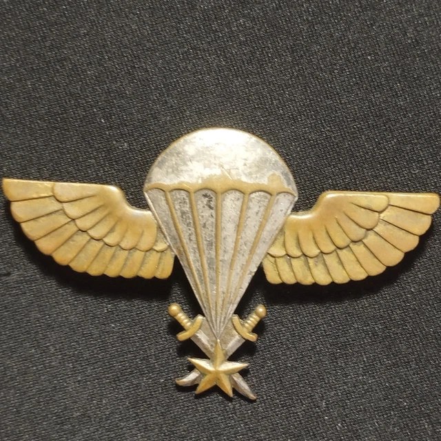 F25M* (REF2740) BEL insigne militaire numéroté rare armée de l'air ...