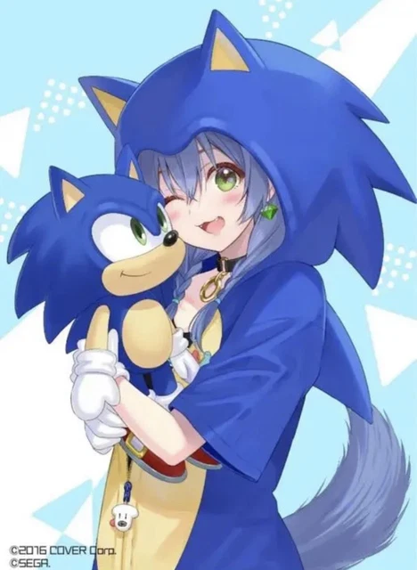HOLOLIVE INUGAMI KORONE Sonic the Hedgehog Sonic 2022 Acrylic Art Panel ...
