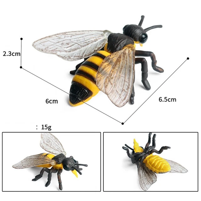 INSECT MODELS BEE/WASP Model PVC Toy Plastic Material Teaching Material ...