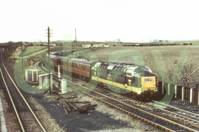 UK DIESEL TRAIN Railway Photograph Of Class 55 Deltic Loco 55005. Rm55 ...