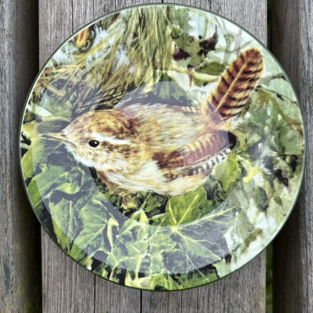 ROYAL KENDAL DOROTHEA Buxton Hyde Bird Families Wren Fine Bone China ...