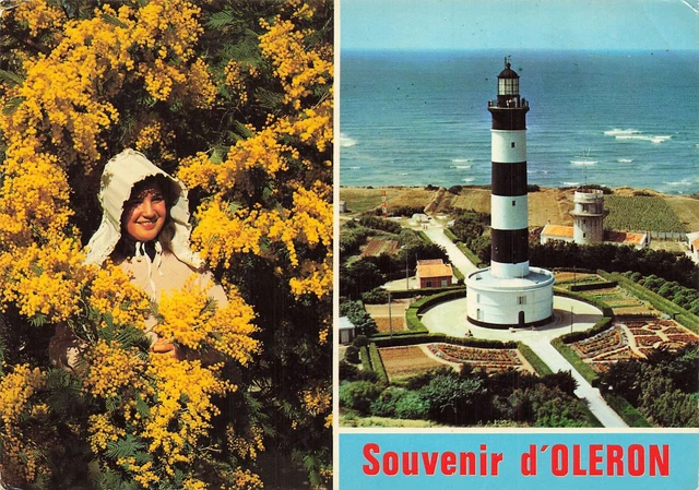 17 L Ile D Oleron EUR 5,90 - PicClick FR