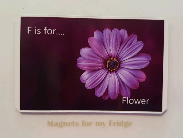 CHILDREN'S LEARNING ALPHABET 'F is for Flower' FRIDGE MAGNET - M414 F ...