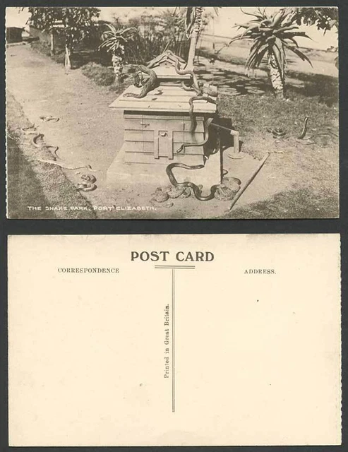 SOUTH AFRICA PORT Elizabeth The Snake Park Snakes Animals Palm Tree Old ...