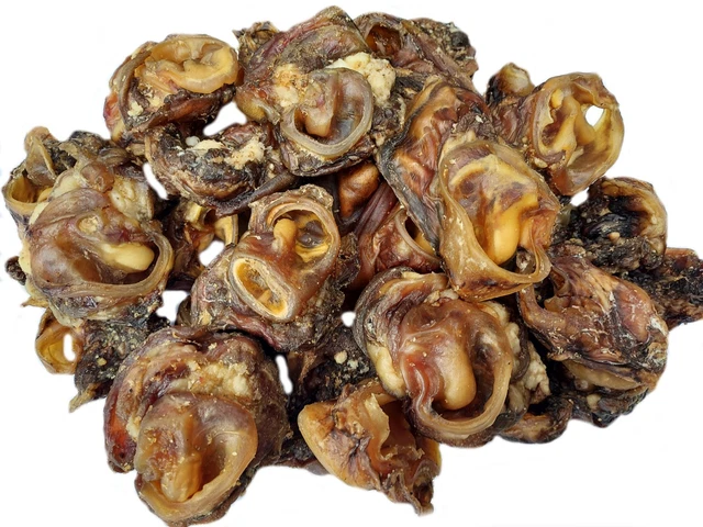 DRIED BEEF COW Ear scrolls 500g pet dog chews treat Australian $23.98 ...