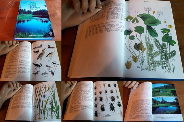 GUIDE-FAUNE ET FLORE Des Lacs Et Etangs D'europe-460 Illustrations+36 Planches EUR 12,00 ...