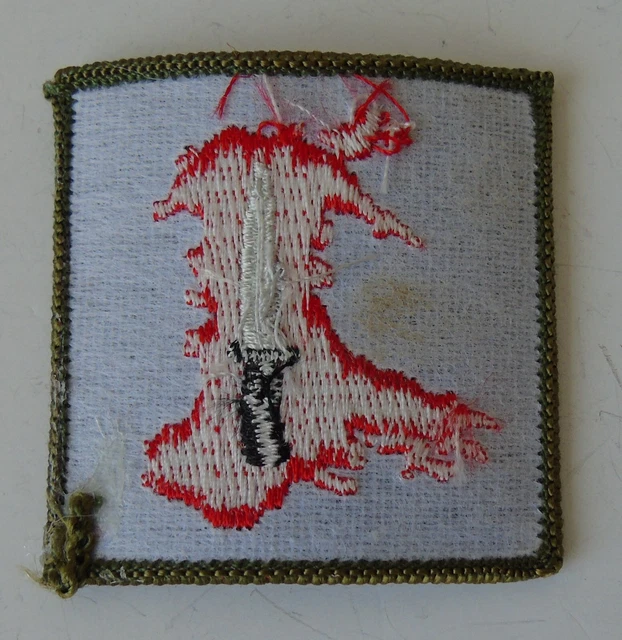 BRITISH ARMY INFANTRY Battle School Brecon Formation Badge/TRF £2.99 ...