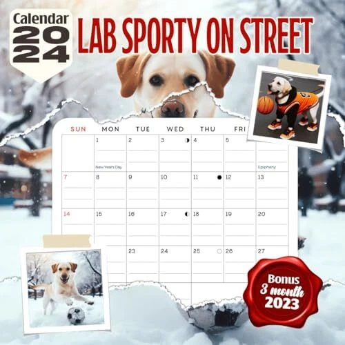 LAB SPORTY ON Street Calendar 2024 Jan 2024 to Dec 2024 Bonus 3 Months Last 2... EUR 16,99 ...