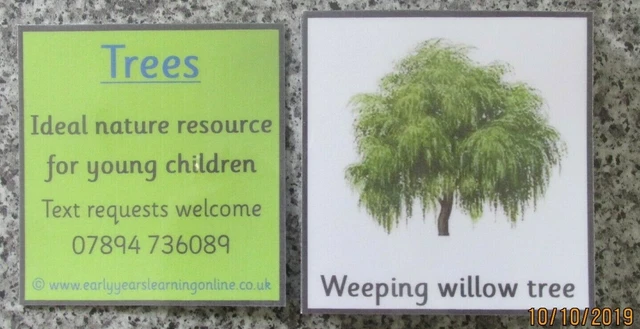 NEW DESIGN, EYFS / Special Needs 'Trees' Flash Cards Ideal for Nature ...