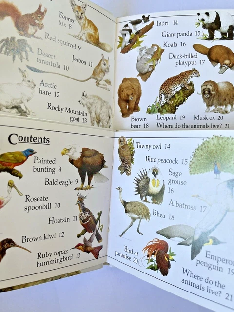 KENNETH LILLY’S ANIMAL Ark Feathery Animals Furry Animals OWL PANDA ...