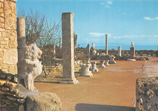 TUNISIE MAISON A Peristyle Dans Le Parc Archeologique Des Villas De L ...