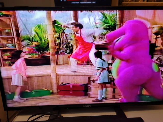 T-120 USED BLANK VHS Barney & Friends PBS Season 1 EUR 21,01 - PicClick FR