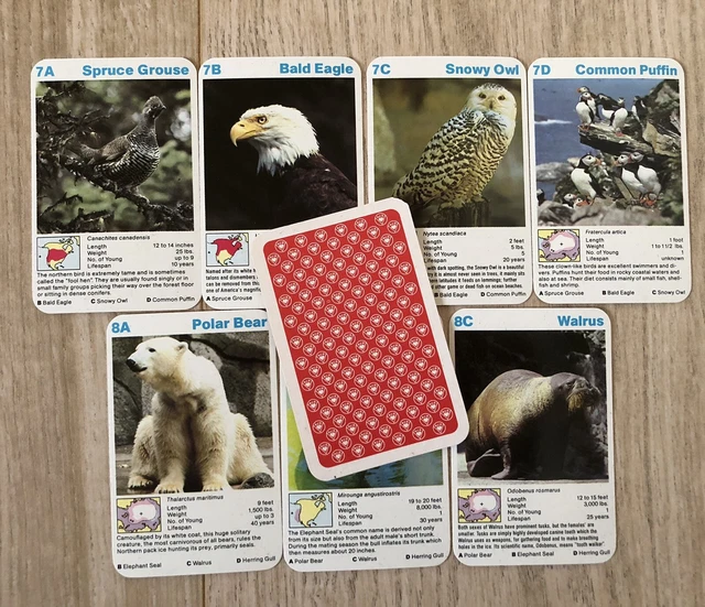 VINTAGE ACE FACT Pack - North American Animals - Mammals - Birds Set of ...