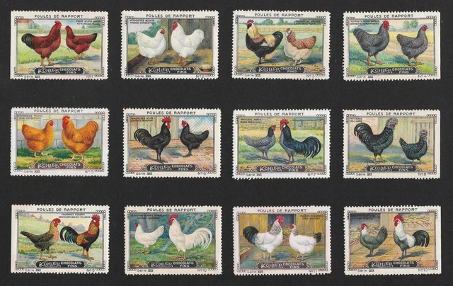 POSTER STAMPS HENS Poules Gallinas Huhner Galline Blue Andalus White ...