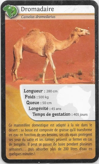CARTE SUPER U - Bioviva! - Dromadaire EUR 1,50 - PicClick FR