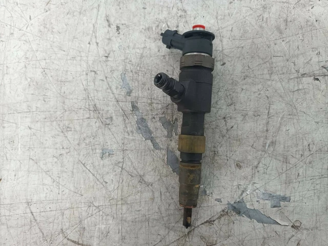 0445110339 INJECTEUR POUR CITROEN C3 2002 170088 EUR 71,10 - PicClick FR