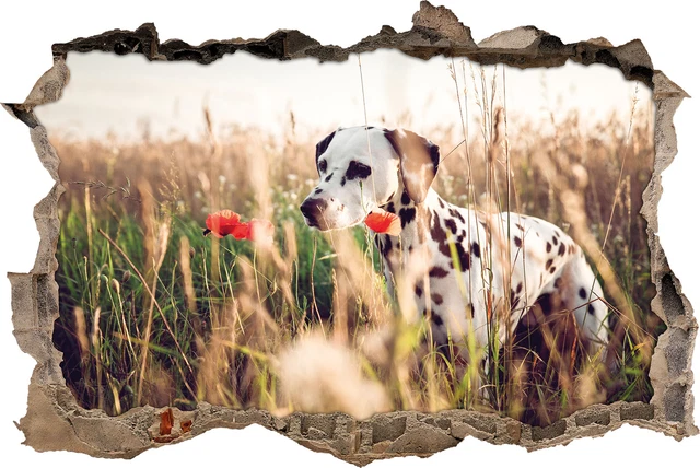 CURIOUS DOG IN Field - 3D-Look Breakthrough Wall Tattoo Stickers EUR 17 ...