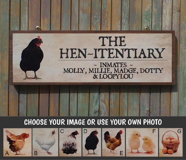 CHICKEN RUN SIGN Hen-Itentiary Sign Own Name Sign Indoor Outdoor ...