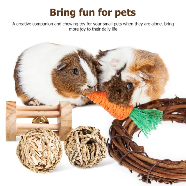 SMALL ANIMAL TOYS Rat Cage Accessories Hamsters Foraging Exercise Balls ...