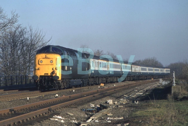 35MM RAILWAY SLIDE of Class 55 Deltic 55004 Copyright to Buyer £7.99 ...