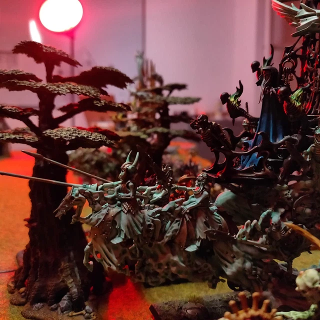 WARHAMMER FANTASY THE Old World miniatures Vampire Counts Army painted ...