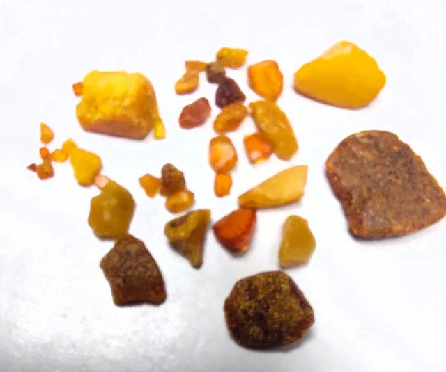 BERSTEIN IN VERSCHIEDENEN Farben vom Seebad Ahlbeck Usedom Mekl ...