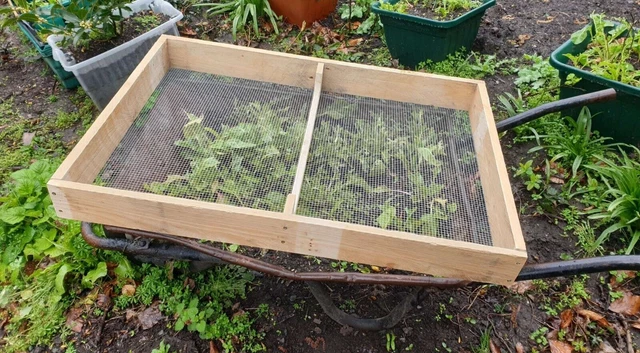 Extra Large Garden Riddle | Fasci Garden