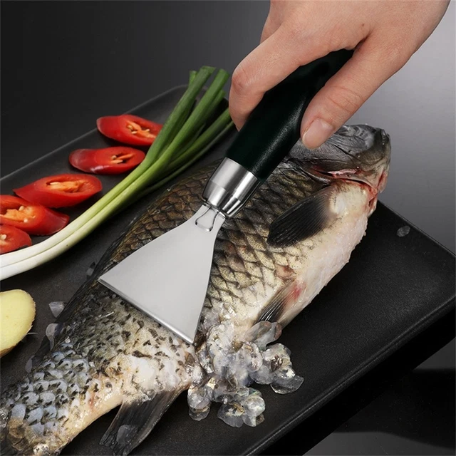 EFFORTLESS CLEANING WITH Rust resistant Stainless Steel Fish Skin Brush ...