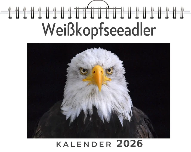 WEISSKOPFSEEADLER EMILIA PETERS Kalender Deutsch 2026 FlipFlop EAN ...