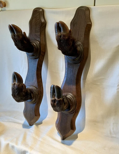 A VINTAGE PAIR Taxidermy Boars Feet Gun Rack/Coat Rack Etc £49.00 ...