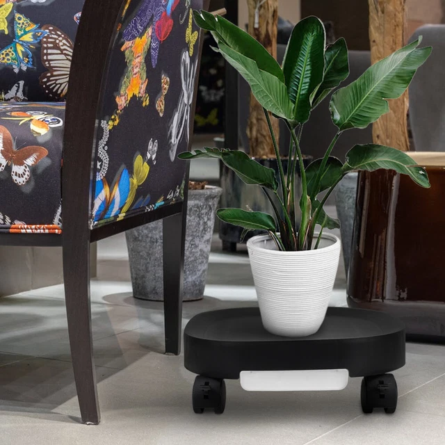 SUPPORT POUR PLANTES Avec Roues Plateau De Jardinière Mobile EUR 39,39 ...