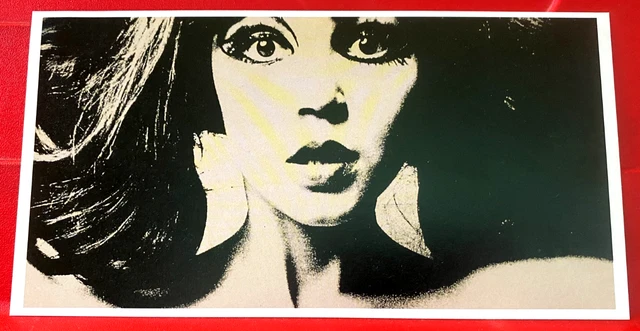 CHELSEA GIRLS ANDY Warhol Movie/Film Poster Art PICTURE / PRINT 9" x 4. ...