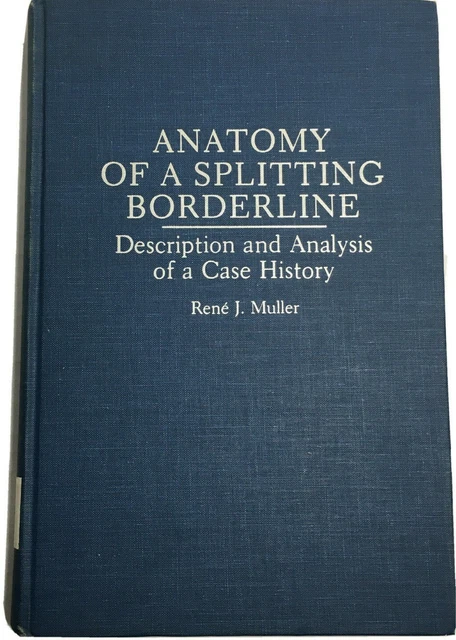 ANATOMY OF A Splitting Borderline Description Analysis Of A Case ...
