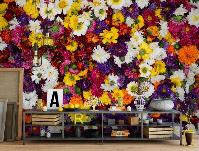 3D COLOR PETALS E2560 Wallpaper Mural Paper Wall Print Indoor Murals CA ...