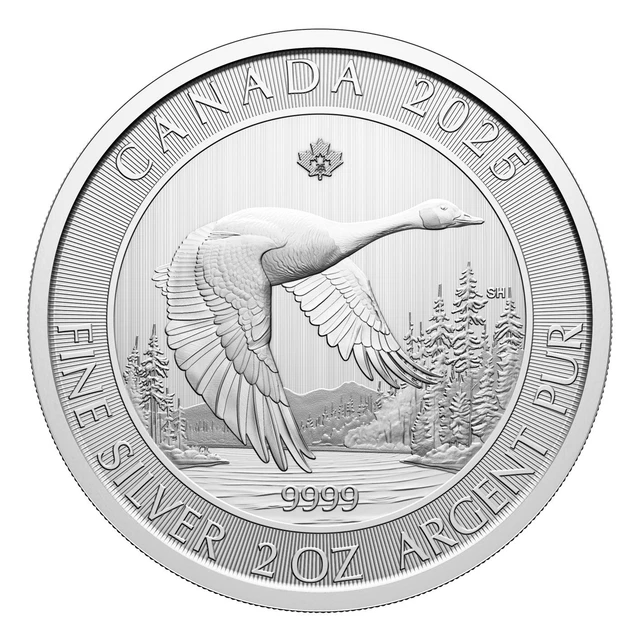 CANADA GOOSE 2025 CANADA 2oz .9999 Pure Silver Bullion $10 Coin $140.25 ...