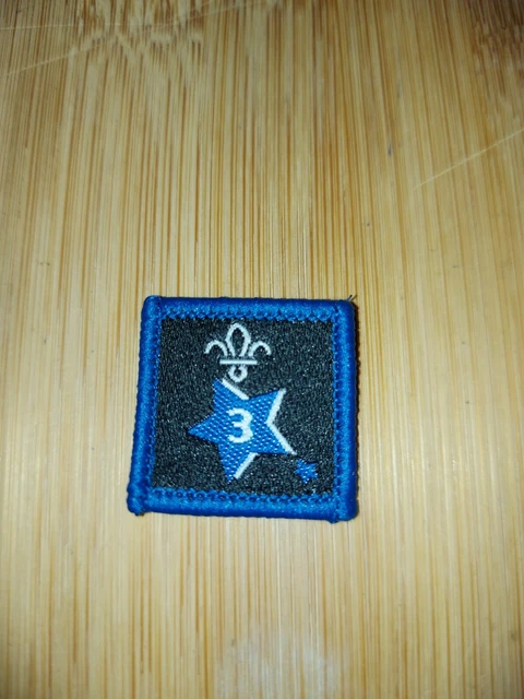 UK SCOUTING CURRENT Joining In Badge Year 3 NEW LOGO EUR 1,56 - PicClick FR